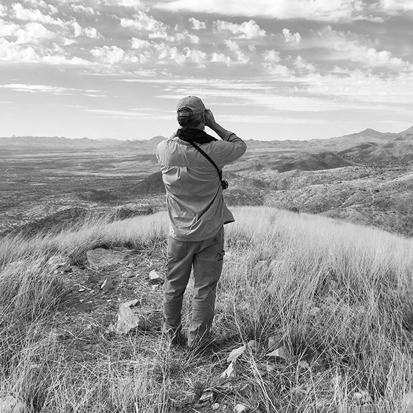 David Taylor | Places Journal