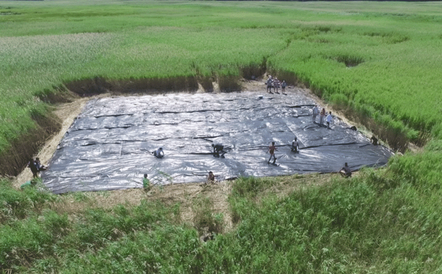 Why A Marsh