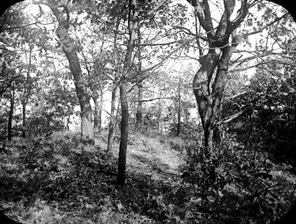 Indiana Nature Notes