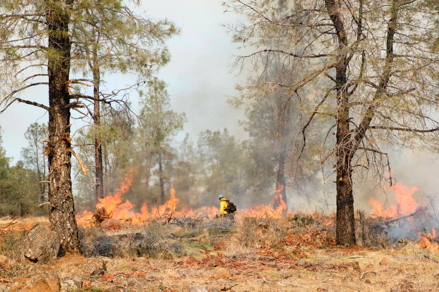 Lessons from Paradise on Fire