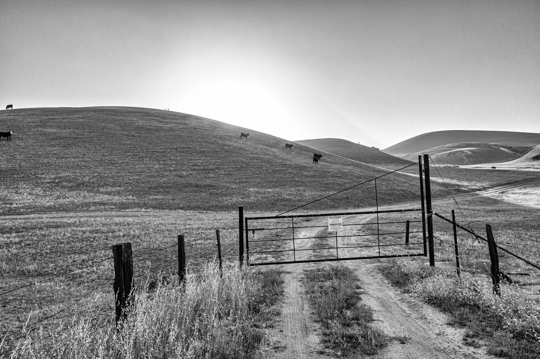 Santa Maria: On Migrant Mother's Land