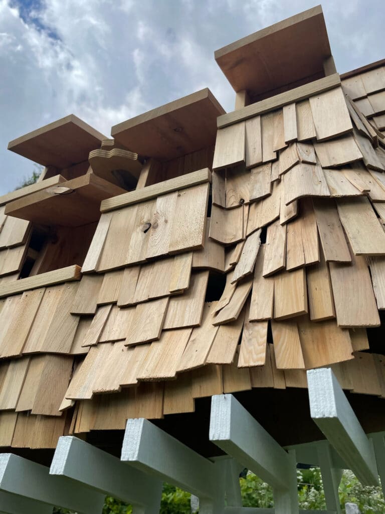Animal Architecture: In Conversation